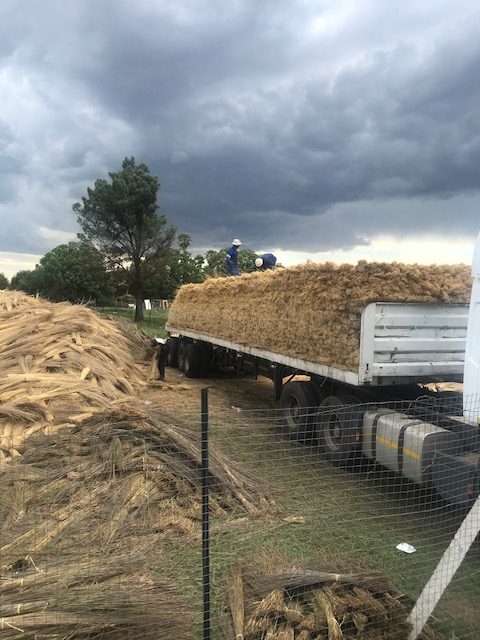 Lightning Pole Mast 28m | Ginindza Thatchers